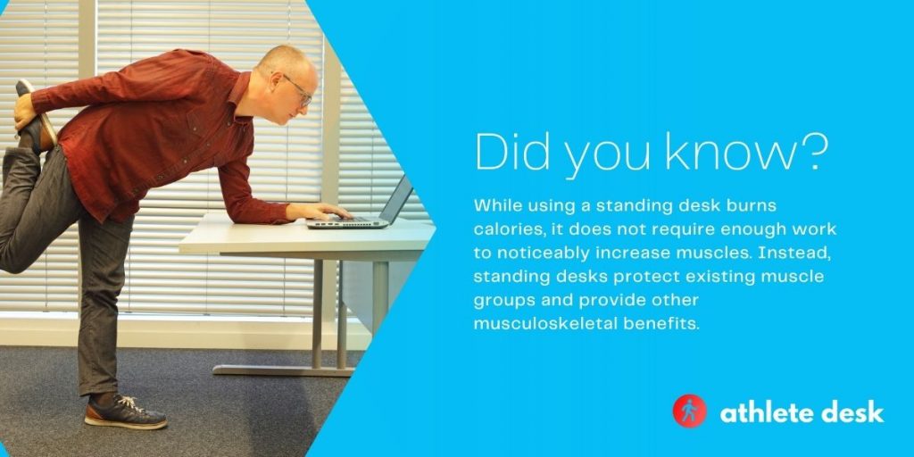 Do Standing Desks Build Muscle? | Athlete Desk